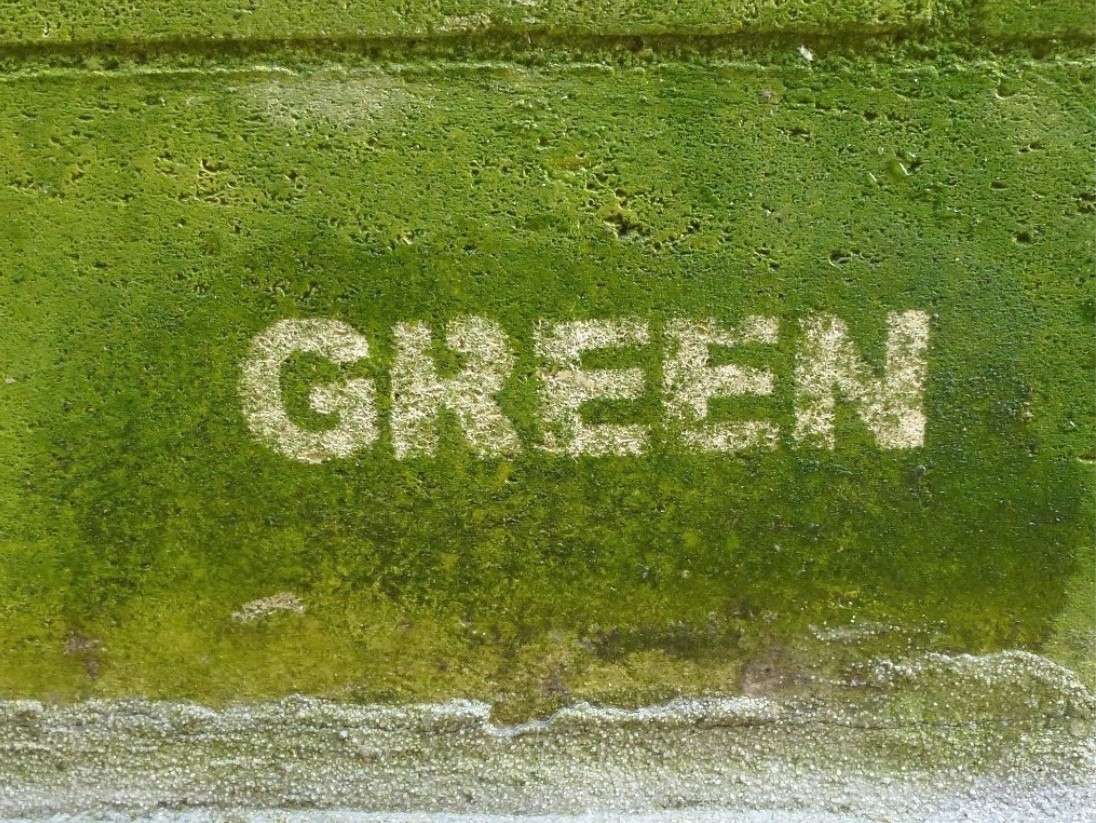 street Green Graffiti - Green Riot water graffiti